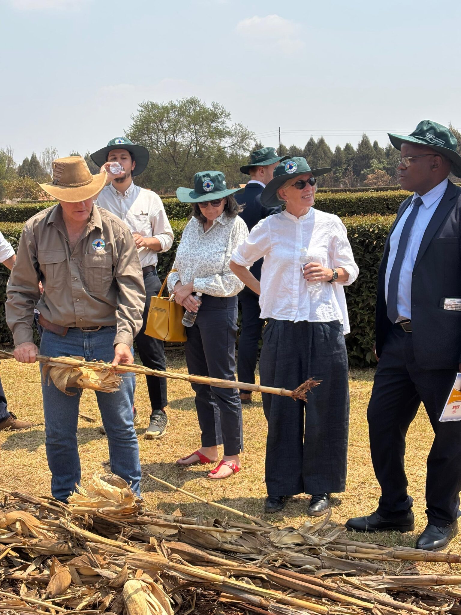 ZIMRA Urges Travelers to Adopt e-TIP for Foreign-Registered Vehicles ...